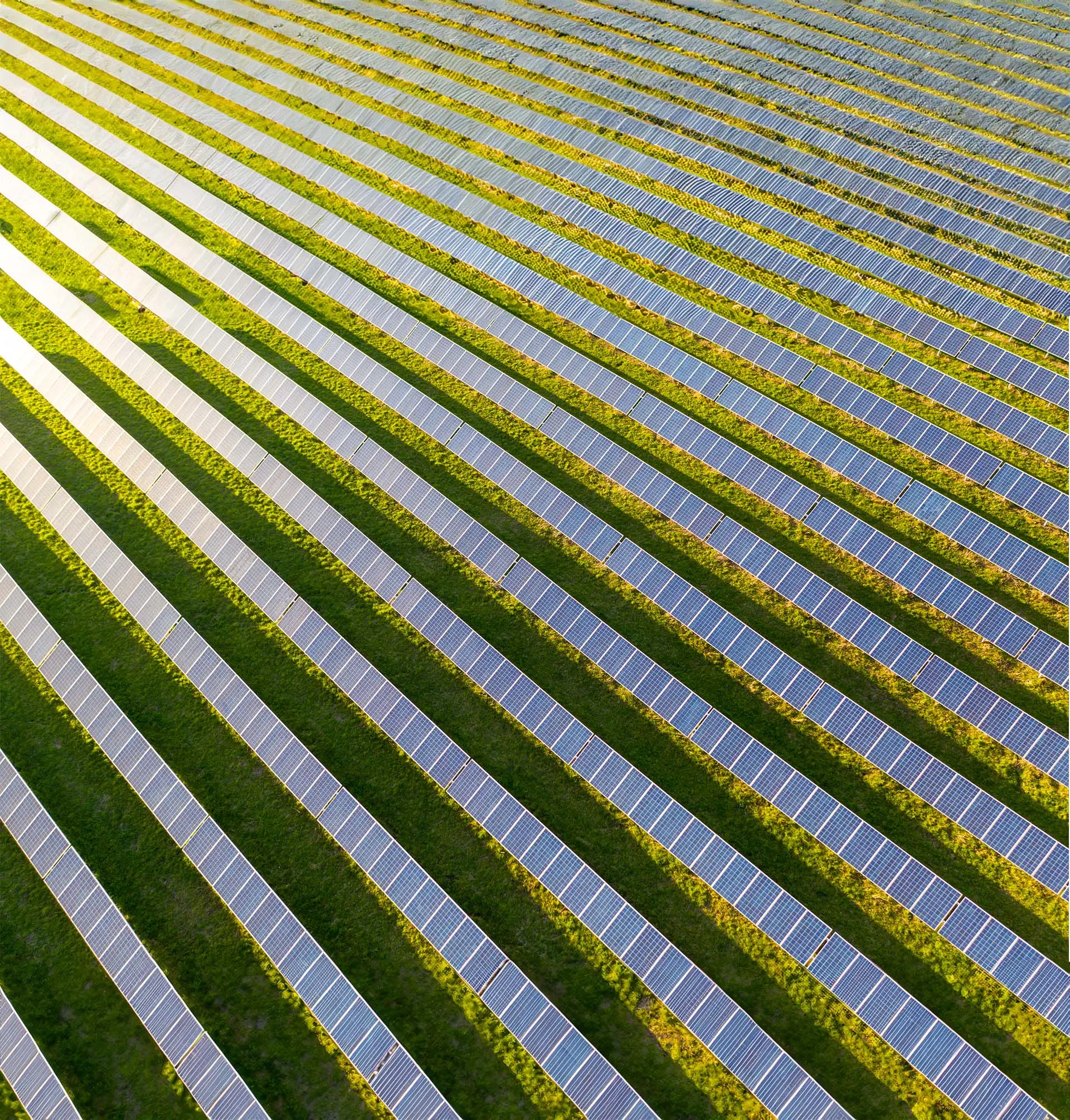 The Mahindra Group Official Website | Together We Rise