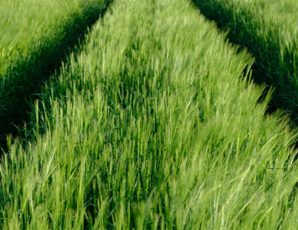 Mahindra’s Farm Equipment Sector sells 18028 units in India during ...