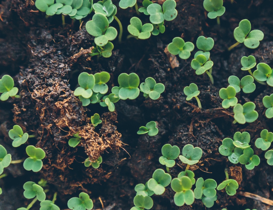 #RiseForAMoreEqualWorld - Kripa