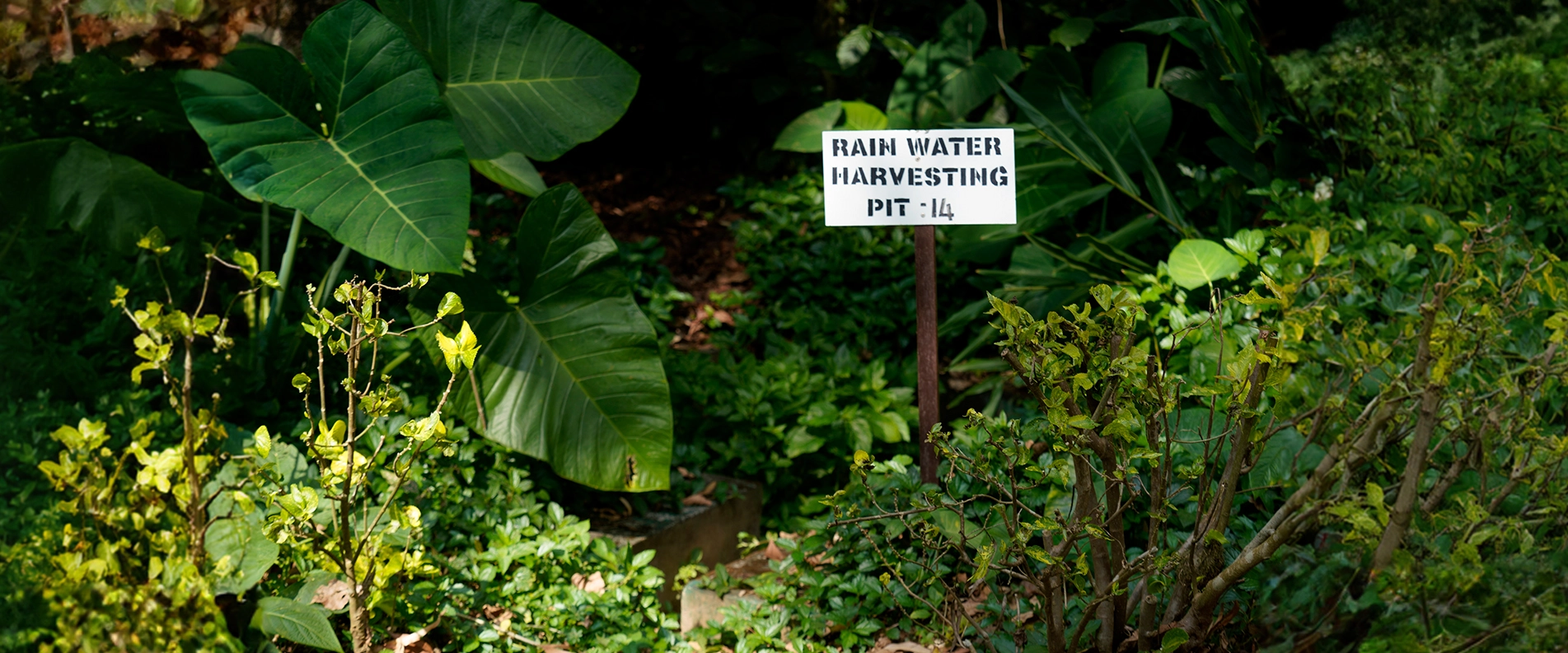 Planet Positive | Sustainability | Mahindra Group